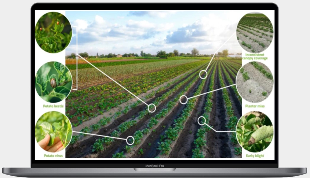 Crop Yield Prediction
